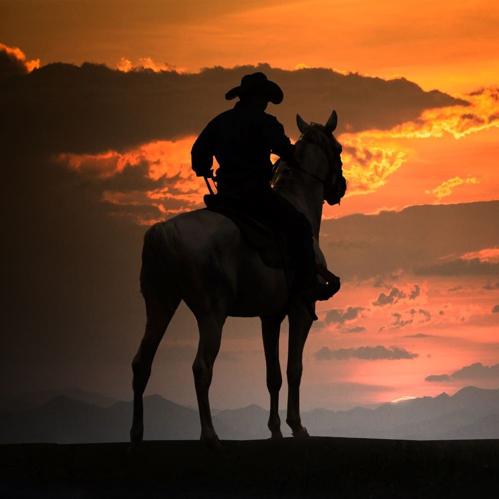 Cowboy Quotes Quoatable Cowboy Quotes Quoatable
