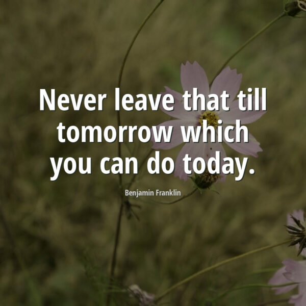 Benjamin Franklin Quote: Never leave that till tomorrow which you can ...